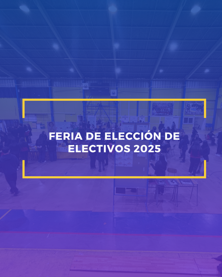 Feria de Elección de Electivos 2025, – Liceo Experimental UMAG